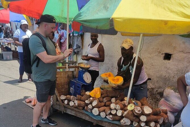 Montego bay Delights Highlight Tour - Final Thoughts: Who Is This Tour For?