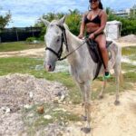 Montego Bay: Dunn's River Falls & Horseback Riding Adventure - The Itinerary: What to Expect