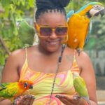 Montego Bay Exotic Herbs, Birds and Animals Interaction Tour - Transportation and Group Size
