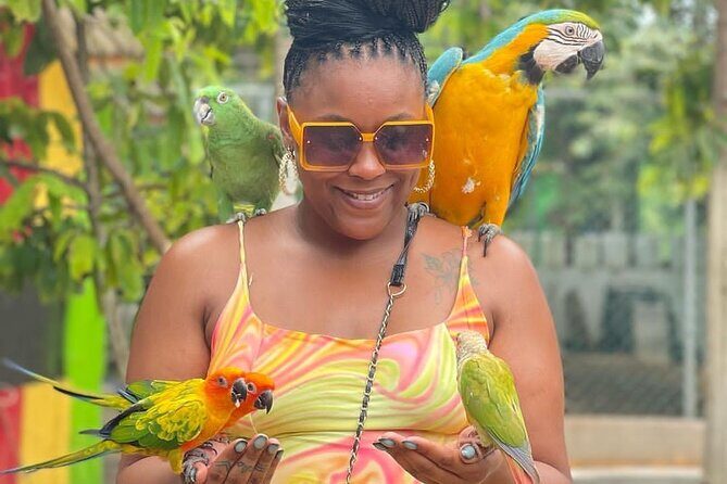 Montego Bay Exotic Herbs, Birds and Animals Interaction Tour - Transportation and Group Size