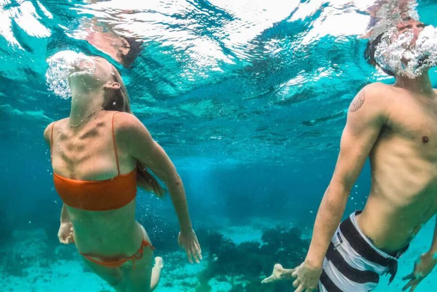 Montego Bay: Full-Day Speedboat Trip to Negril - The Itinerary in Detail: What to Expect