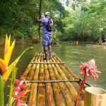 Montego Bay Highlights Tour, Bamboo Rafting Experience & Shopping - Who Is This Tour Best For?