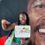 Montego Bay Hotels Airport/Cruise Port Transfers - How Does the Service Work?