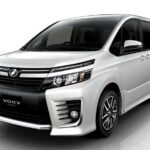 Montego Bay Hotels Private Airport Round Trip Transfers - The Experience: From Arrival to Departure