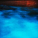 Montego Bay: Luminous Lagoon Night Tour by Boat - Practical Tips for the Best Experience