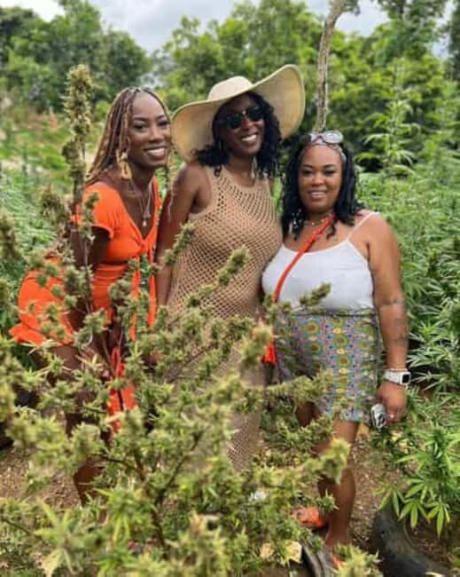 Montego Bay: Marijuana Farm and Bird Sanctuary Tour - Why This Tour Works for Travelers