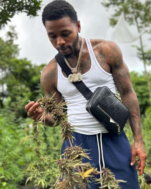 Montego Bay Marijuana Farm Private Tour - Final Thoughts