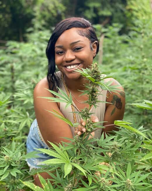 Montego Bay Marijuana Farm Tour - What Is the Montego Bay Marijuana Farm Tour?