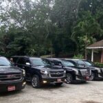 Montego Bay, Negril, Ocho Rios Areas Private Luxury Transfer - Practical Details and Booking Considerations