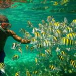 Montego Bay: Negril Seven Miles Beach & Booby Cay Boat Tour - The Sunset at Rick’s Café