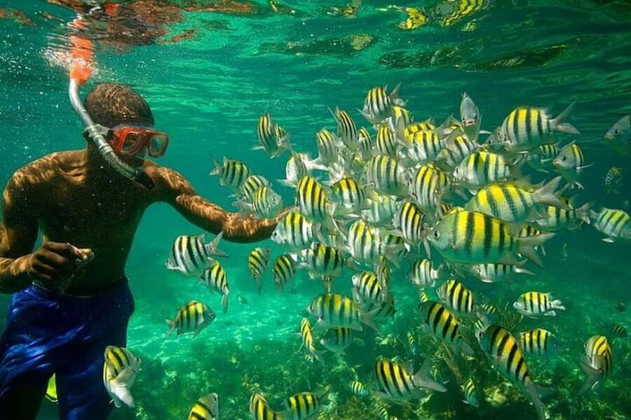 Montego Bay: Negril Seven Miles Beach & Booby Cay Boat Tour - The Sunset at Rick’s Café