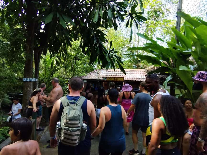 Montego Bay: Private Bob Marley and Dunn's River Falls Tour - The Value of the Tour
