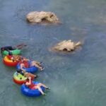 Montego Bay: Private River Tubing Adventure - The Itinerary: A Well-Structured Day