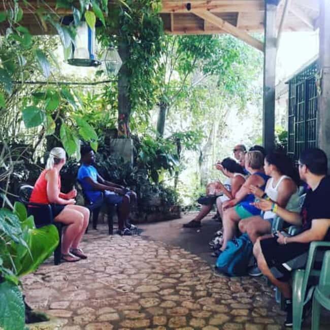 Montego Bay: Private Rocklands Bird Sanctuary Trip - Final Thoughts