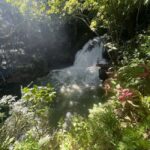 Montego Bay: Secret Falls And River Rapids Adventure - A Deep Dive into the Experience