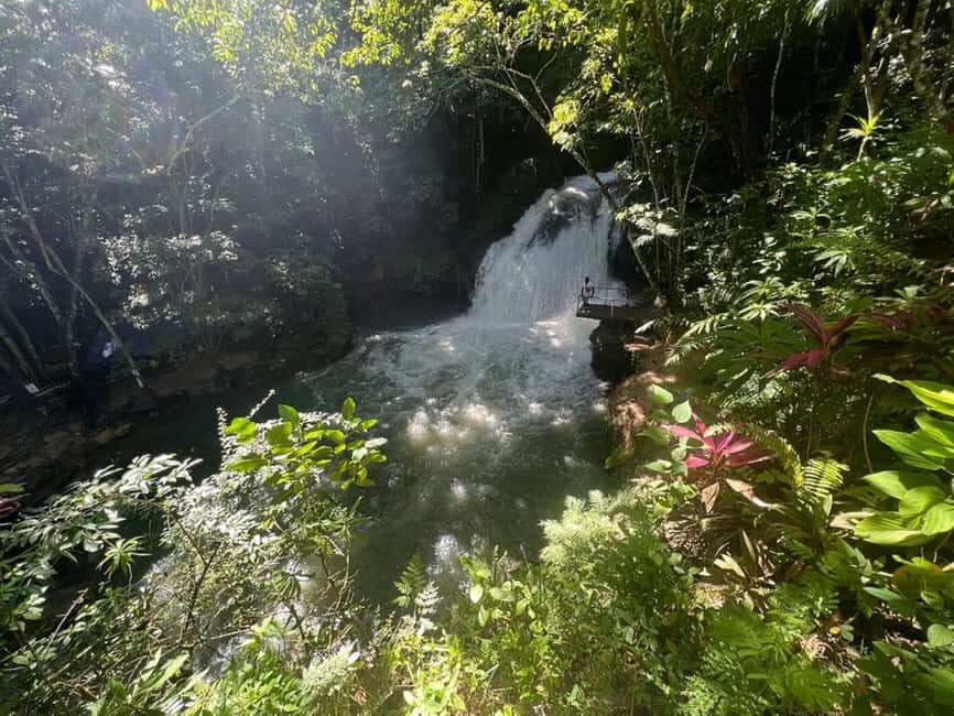 Montego Bay: Secret Falls And River Rapids Adventure - A Deep Dive into the Experience