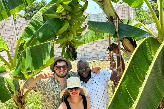 Montego Bay Sightseeing, Shopping and Bamboo Rafting - The Value of the Tour