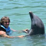 Montego Bay: Swim With The Dolphins Adventure in Lucea - Detailed Breakdown of the Itinerary
