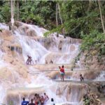 Montego Bay to Dunn's River Falls Half-Day Trip - Exploring the Experience in Detail
