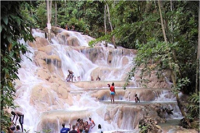 Montego Bay to Dunn's River Falls Half-Day Trip - Exploring the Experience in Detail