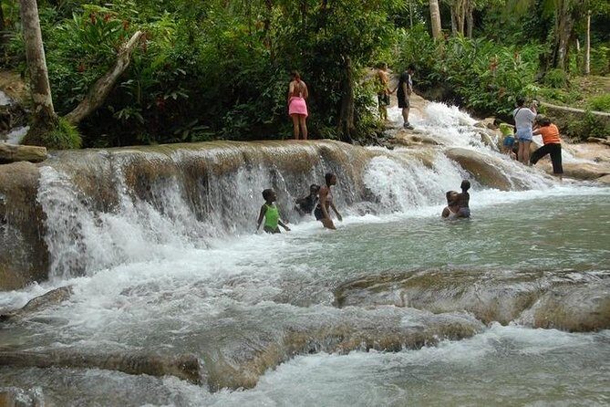 Montego Bay tour: Dunn's River Falls - Transportation and Group Size