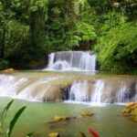 Montego Bay: YS Falls and Appleton Rum Private Tour by Van - Practical Details: Transportation, Timing, and Value