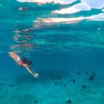 Morning Half Day Cruise from Providenciales with Snorkeling and Iguana Island - Why This Tour Works Well for You
