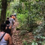 Mount Liamuiga Volcano Hike St Kitts Highest peak - What to Expect on the Trail