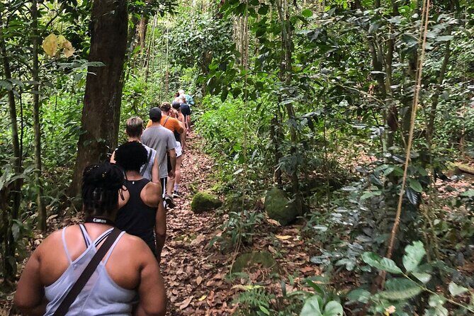 Mount Liamuiga Volcano Hike St Kitts Highest peak - What to Expect on the Trail