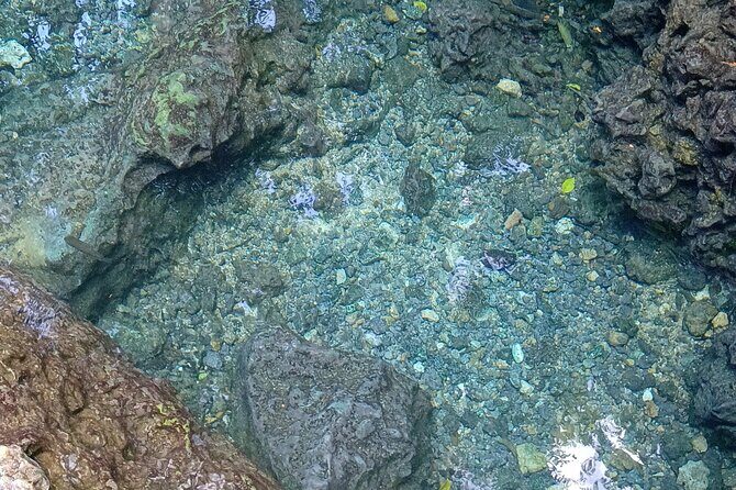 Mountain Bike tour to a Pristine Spring and Cave - What Travelers Are Saying: Authentic Feedback