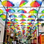 Mountain View and City Tours - Who Should Consider This Tour?