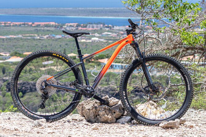 Mountainbike rental 1 week - The Sum Up