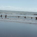 Mud Volcano Adventure - Local Cuisine and Cultural Flavor