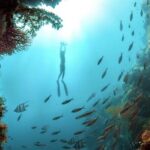 Multi-Day Underwater Sea Scooter Adventure with Free Delivery - What to Expect from the Sea Scooter Adventure