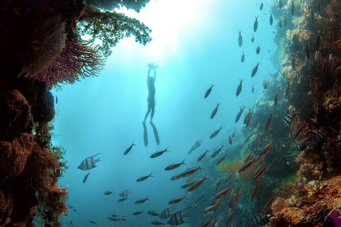 Multi-Day Underwater Sea Scooter Adventure with Free Delivery - What to Expect from the Sea Scooter Adventure