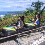 Mystic Mountain & Dunn's River Fall OchoRios from Grand Palladium - The Sum Up: Is It Worth It?
