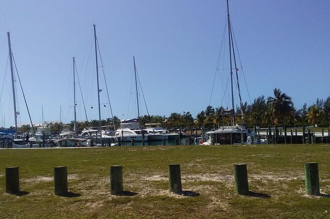 Nassau Airport to Palm Cay - group transportation in comfort - Authentic Experiences and Review Highlights