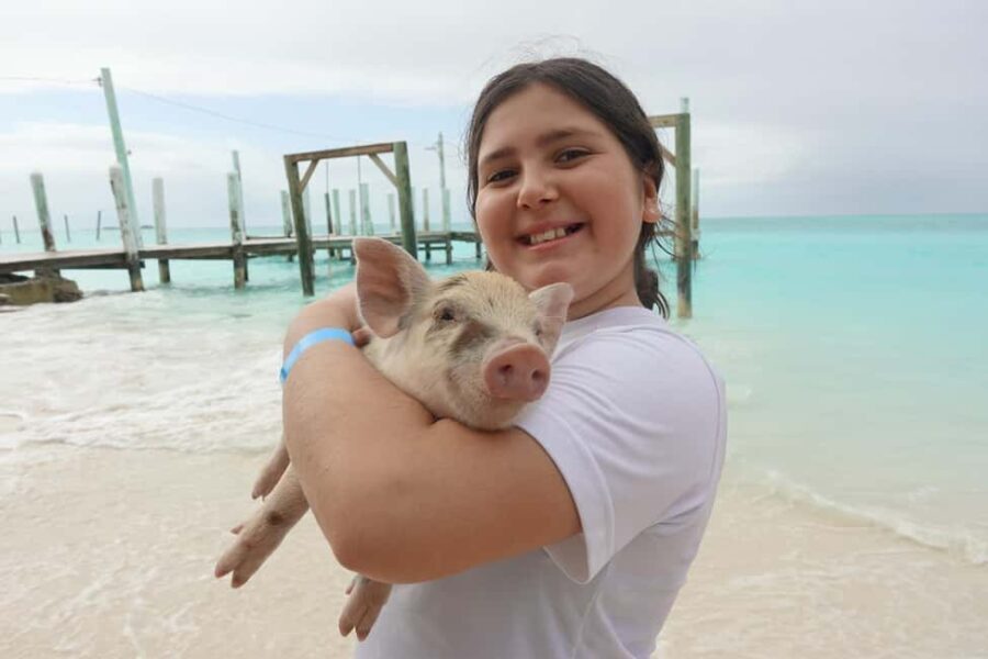 Nassau ATV & Swimming Pigs Tour - The Practical Details