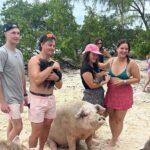 Nassau Bahamas Jetcar Excursion to Pig Island - Benefits of This Tour for Travelers
