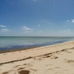 Nassau Bucket List: Private Full-Day Exploration Tour - Final Thoughts on the Nassau Bucket List Private Tour