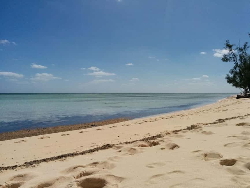 Nassau Bucket List: Private Full-Day Exploration Tour - Final Thoughts on the Nassau Bucket List Private Tour