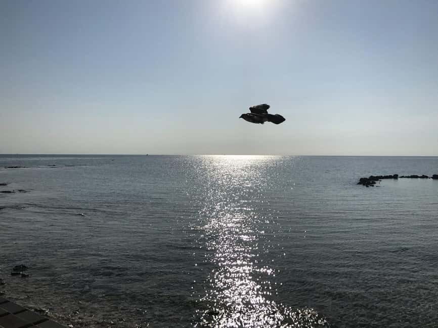 Nassau: Half-Day Guided Tour with Pickup - Practical Details & What You Should Know