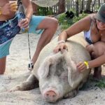 Nassau: Island Hopping Boat Trip with Lunch & Drinks - What Do the Reviews Tell Us?