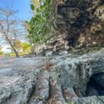 Nassau Mystery & Nature Tour: Bat Caves, Trails & Legends - What to Expect from the Tour