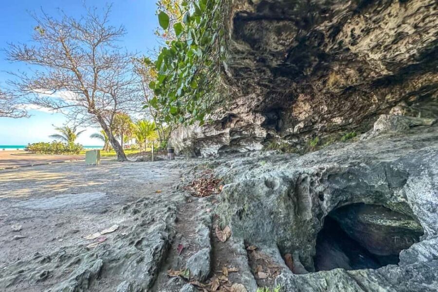 Nassau Mystery & Nature Tour: Bat Caves, Trails & Legends - What to Expect from the Tour