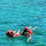 Nassau: Pig Island and Snorkeling Experience - Why This Tour Works Well for Certain Travelers