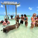 Nassau: Pigs, Snorkel, Turtles, Lunch, Private Beach Club - The Itinerary Breakdown and What It Means for You