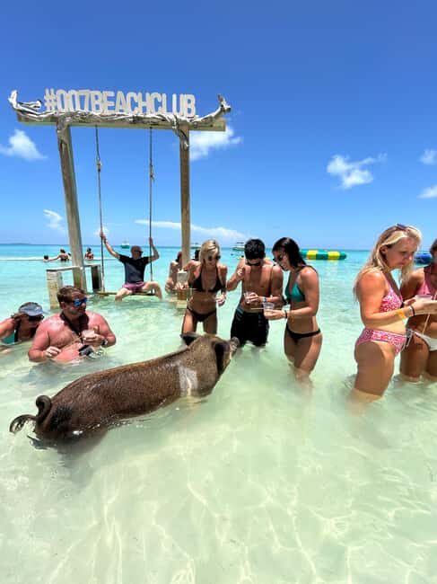 Nassau: Pigs, Snorkel, Turtles, Lunch, Private Beach Club - The Itinerary Breakdown and What It Means for You