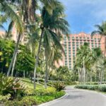 Nassau Private Airport & Cruise Port Transfer - The Experience in Detail