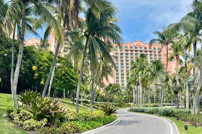 Nassau Private Airport & Cruise Port Transfer - The Experience in Detail